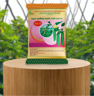 Dưa leo lai F1: CuC 71